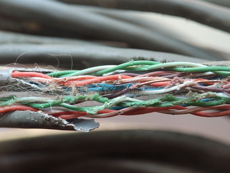 218 Rat Cable Stock Photos - Free & Royalty-Free Stock Photos from ...