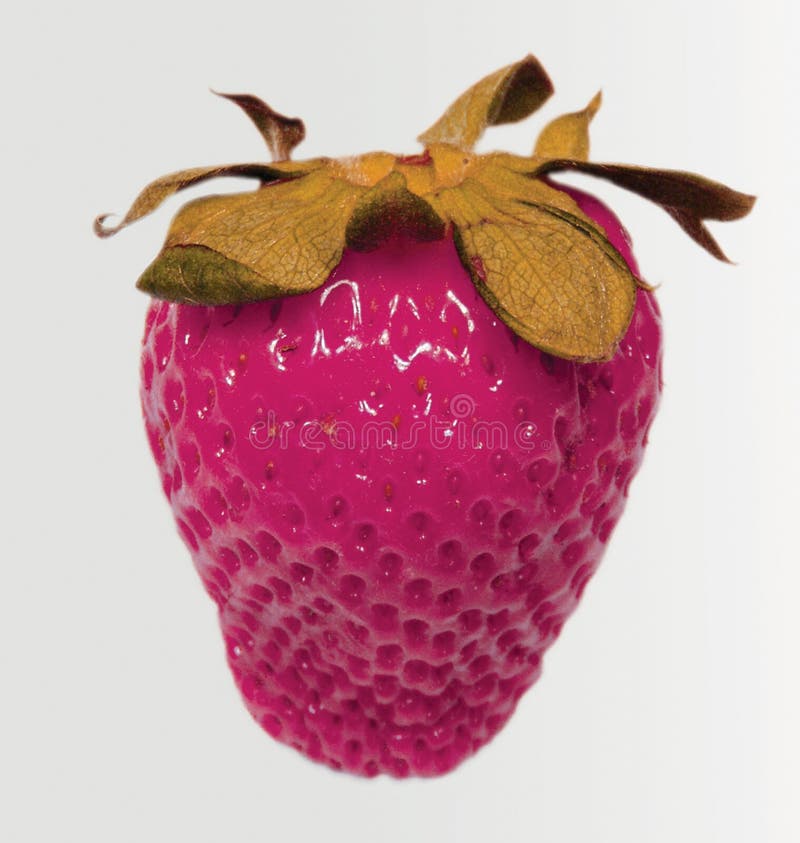 Bad Colormanagement Stock Photos - Free & Royalty-Free Stock Photos ...