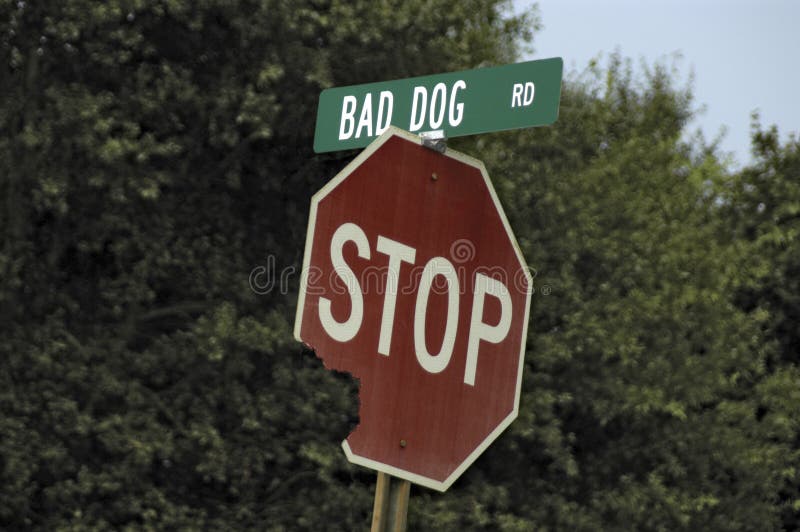 Bad Dog Road & Sign stock image. Image of sign, bite - 810913