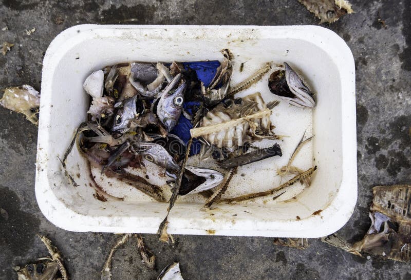 Bad fish and bones stock photo. Image of background - 255812910