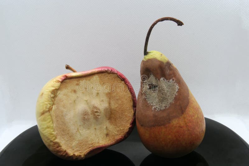 Bad Pear. Bad Fruit. Molded Pear. Molded Fruit. Bad Food. Stock Photo ...