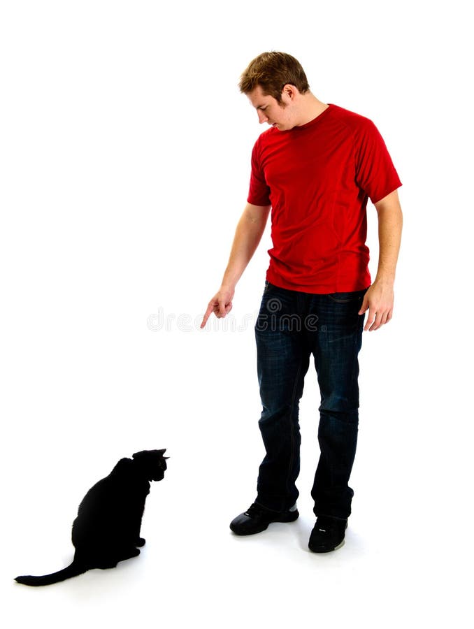 Businessman on Top of a Ladder Pointing at Dog Stock Photo - Image of ...