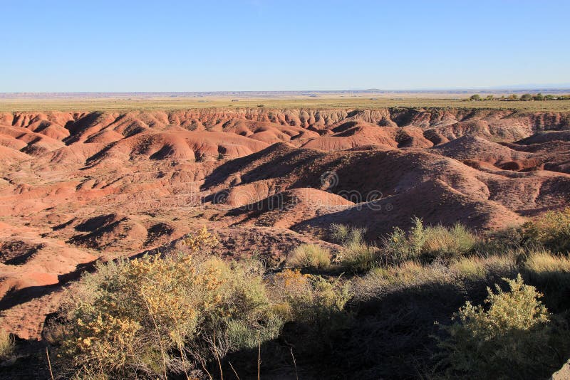 Bad Land stock photo. Image of travel, plant, national - 80458676