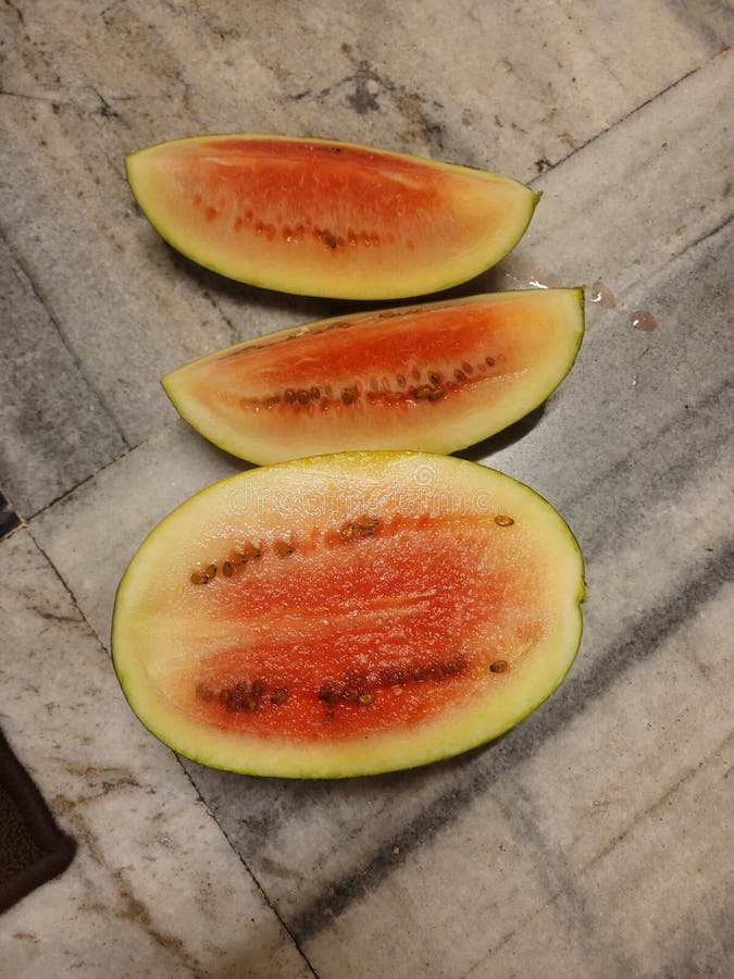 Bad Melons stock image. Image of melons, melon - 317165777