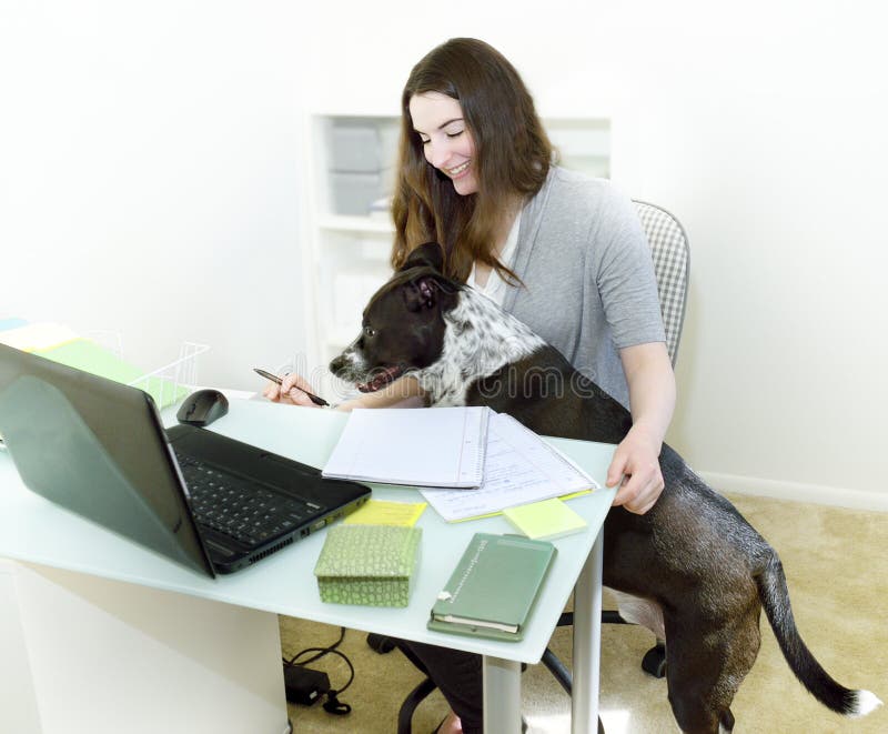 Bad Office Work Dog stock photo. Image of home, businesswoman - 54363748