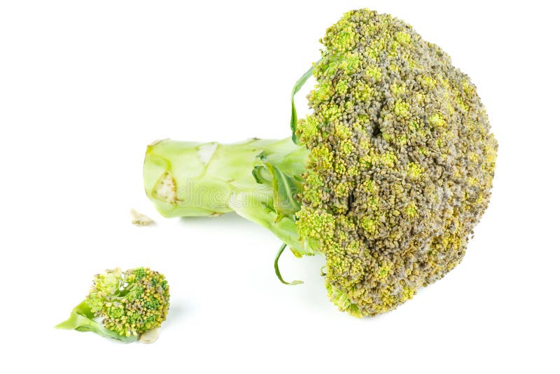 Rotten Broccoli Photos - Free & Royalty-Free Stock Photos from Dreamstime