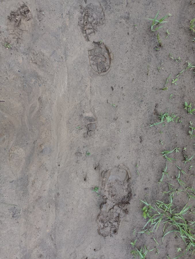 Bad Rainy Weather. Footprints in the Swamp on a Field Road Stock Photo ...