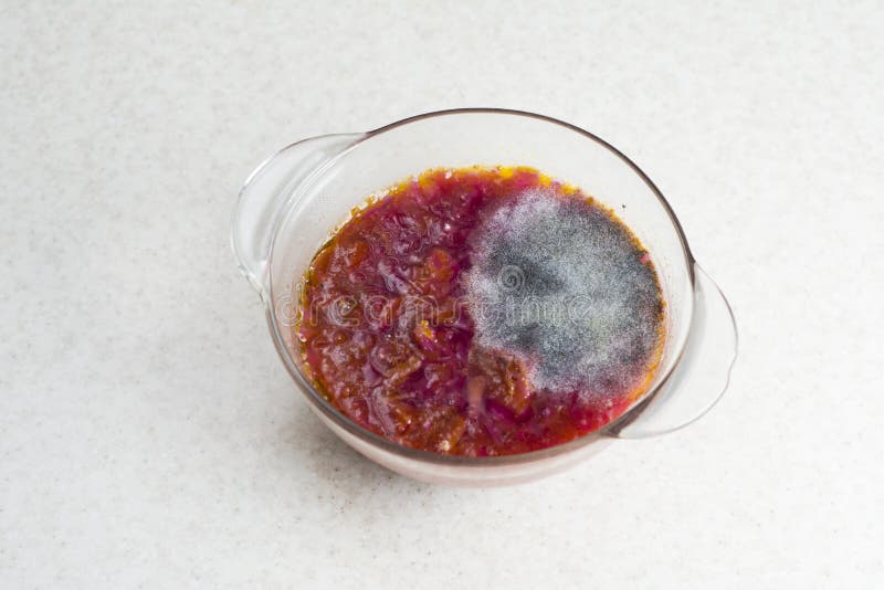 Bad red soup with mold stock image. Image of dirty, health - 123308761