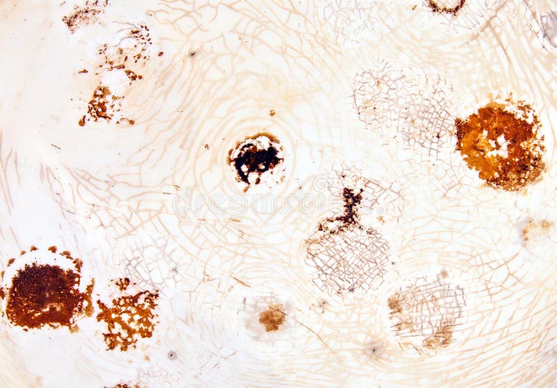 Bad Surface of Ceramic Plate Stock Image - Image of food, kitchen: 72667359