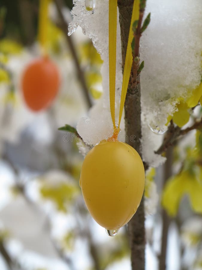Easter egg rain stock image. Image of flower, event, raindrop - 29717689