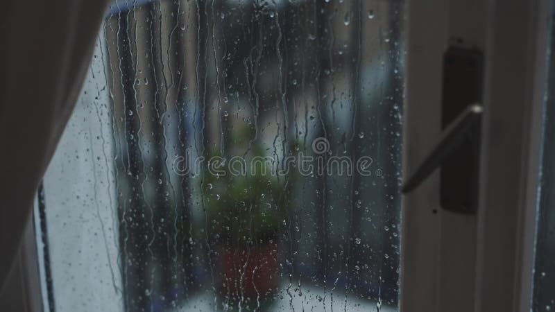 Bad weather. stock footage. Video of report, house, cold - 266145060