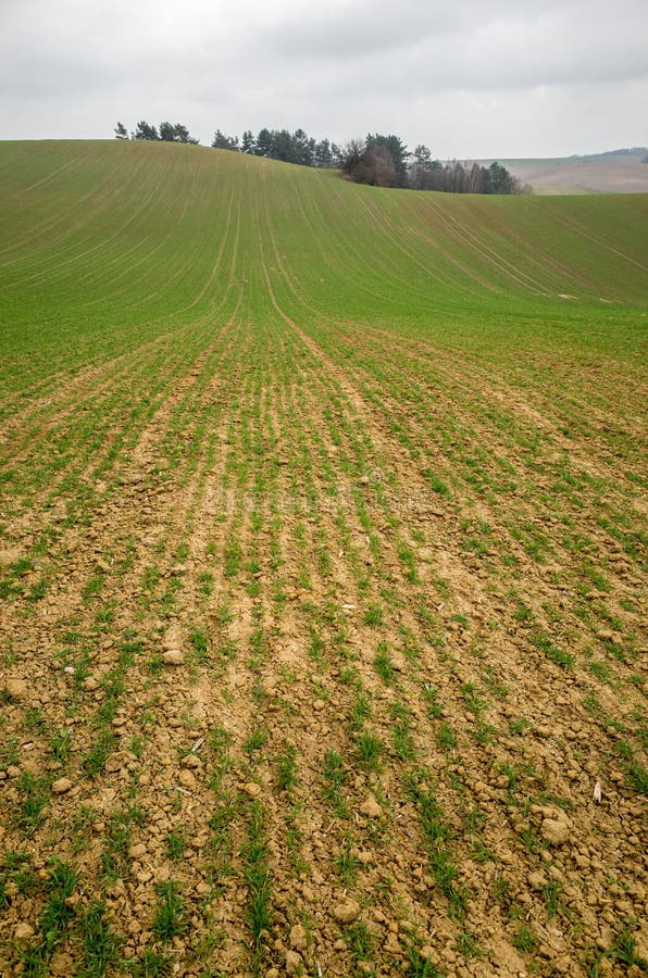 Bad weather over the field stock image. Image of clouds - 59869961