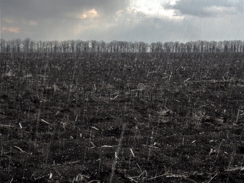 Bad weather snow field stock photo. Image of earth, outdoor - 184253512