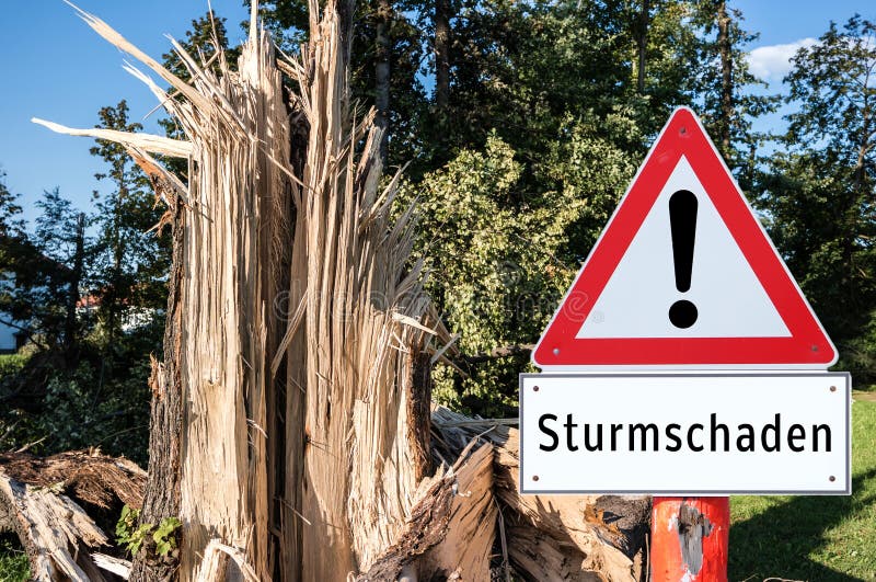 Bad Weather Storm Damage on a Tree Stock Image - Image of thunderstorm ...