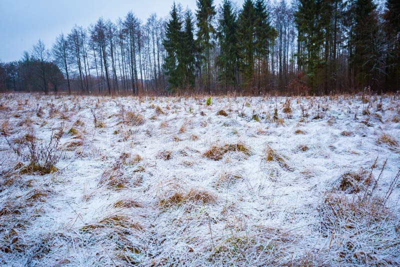 Bad Weather Winter Meadow Landscape Stock Image - Image of season, snow ...