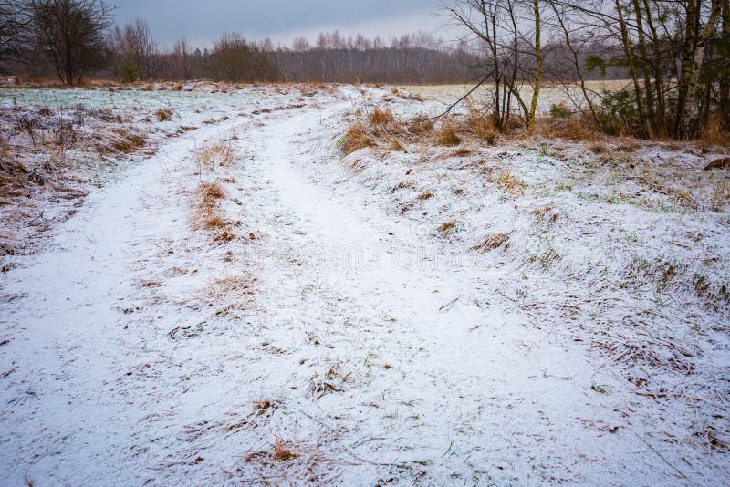 Bad Weather Winter Meadow Landscape Stock Photo - Image of season, farm ...