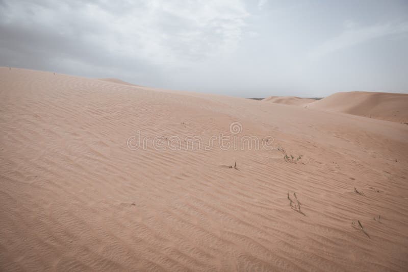 Badain Jaran Desert, Largest Desert in China, Located in Inner Mongolia ...