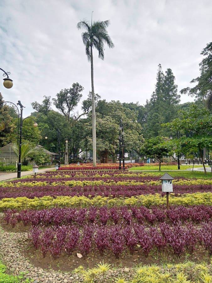 The Badak Park in Bandung City at Morning Stock Photo - Image of ...