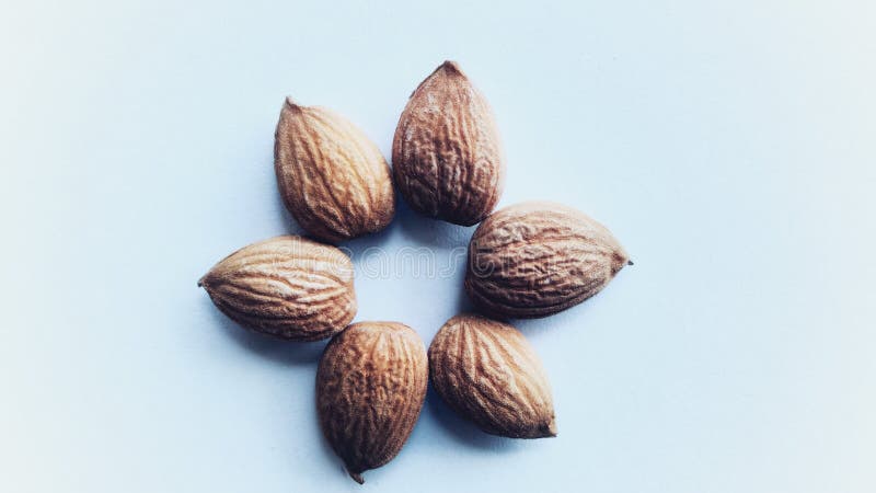 1,801 Badam Photos - Free & Royalty-Free Stock Photos from Dreamstime