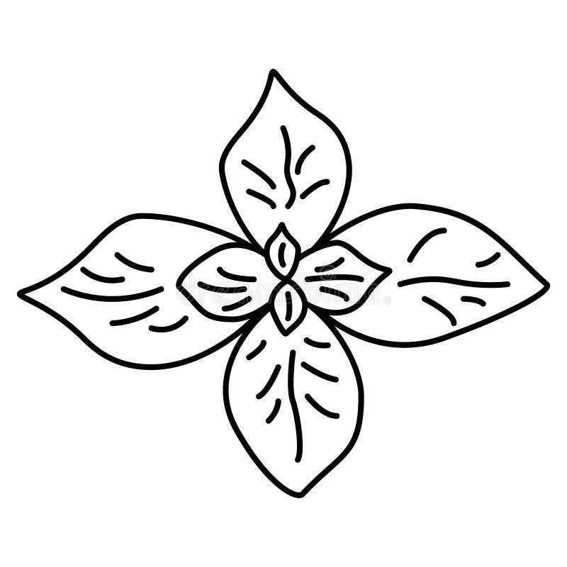 Badge basil. stock vector. Illustration of coloring - 257471021