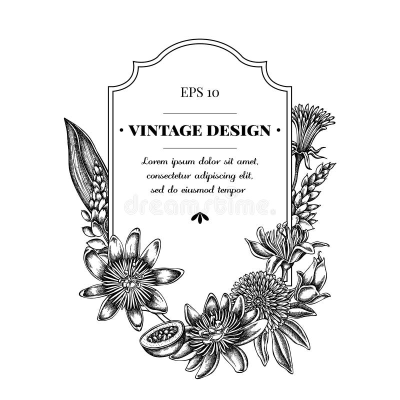 Dandelion Black White Stock Illustrations – 4,931 Dandelion Black White ... Dandelion Black White Stock Illustrations – 4,931 Dandelion Black White ...