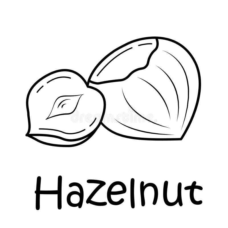 Badge Hazelnut Stock Illustrations – 271 Badge Hazelnut Stock ...