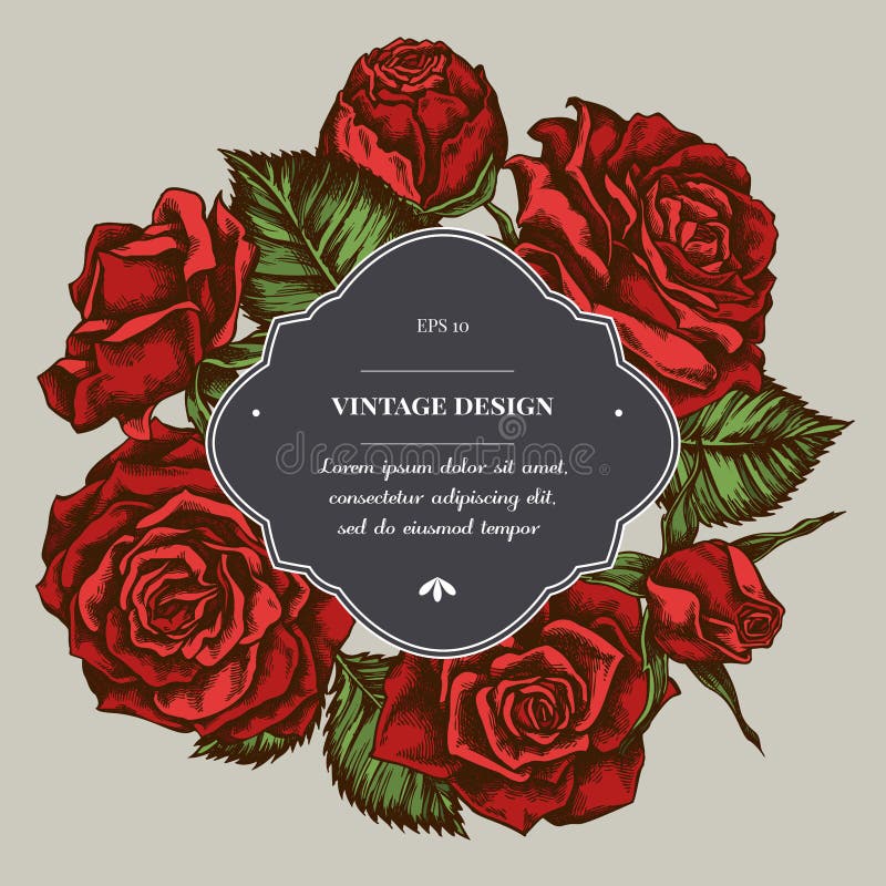 Badge Over Design with Roses Stock Vector - Illustration of beautiful ...