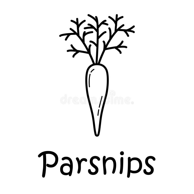 Badge Parsnips with the Inscription. Stock Vector - Illustration of ...