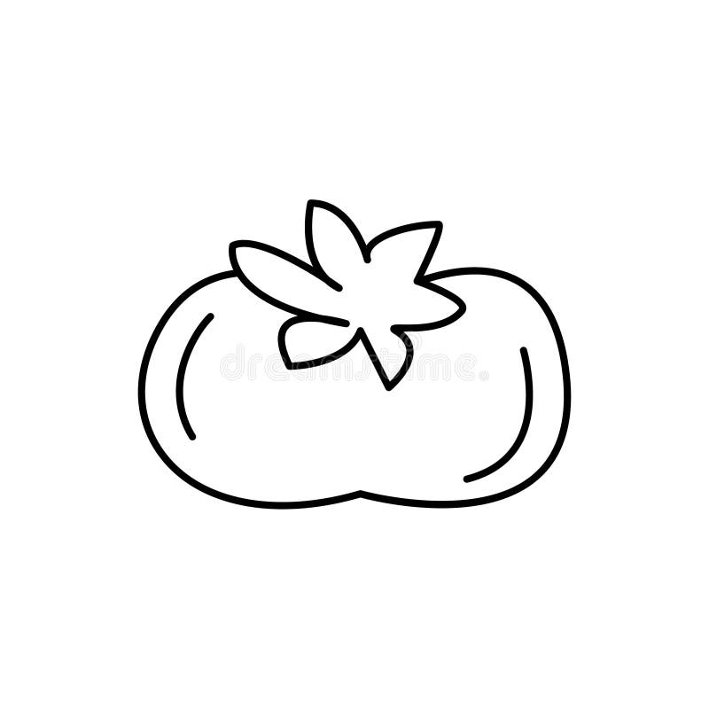 Badge tomato. stock vector. Illustration of object, child - 257698957