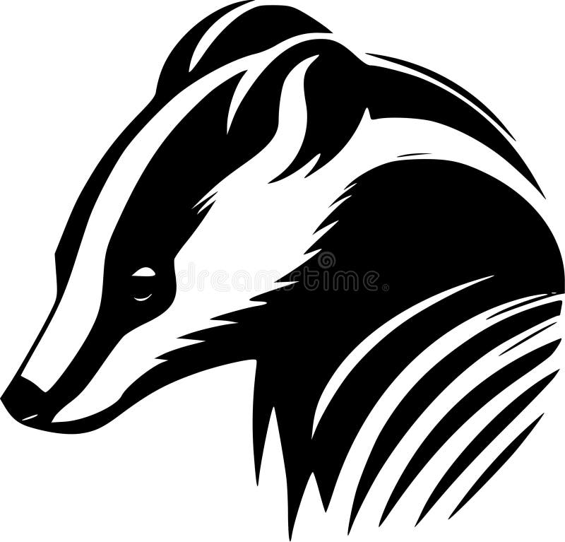 Badger - Black and White Vector Illustration Stock Vector ...