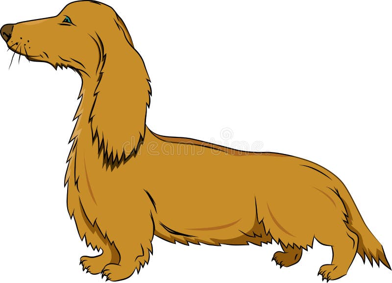 Dog Hackles Stock Illustrations – 6 Dog Hackles Stock Illustrations ...