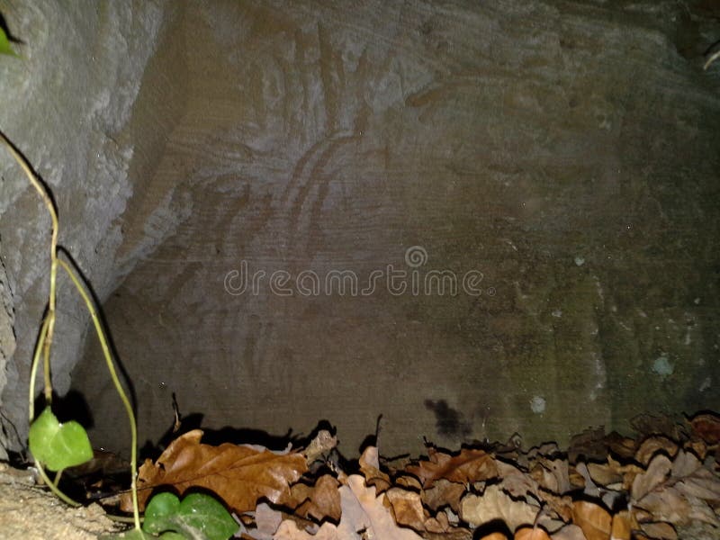 Badger`s Earth with Claw Marks, County Wicklow, Ireland Stock Image ...
