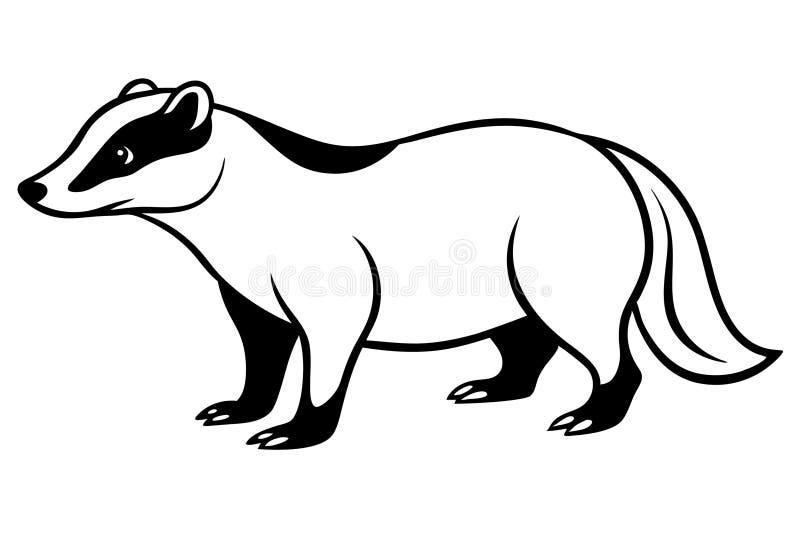 Badger Silhouette Vector Illustration Stock Vector - Illustration of ...