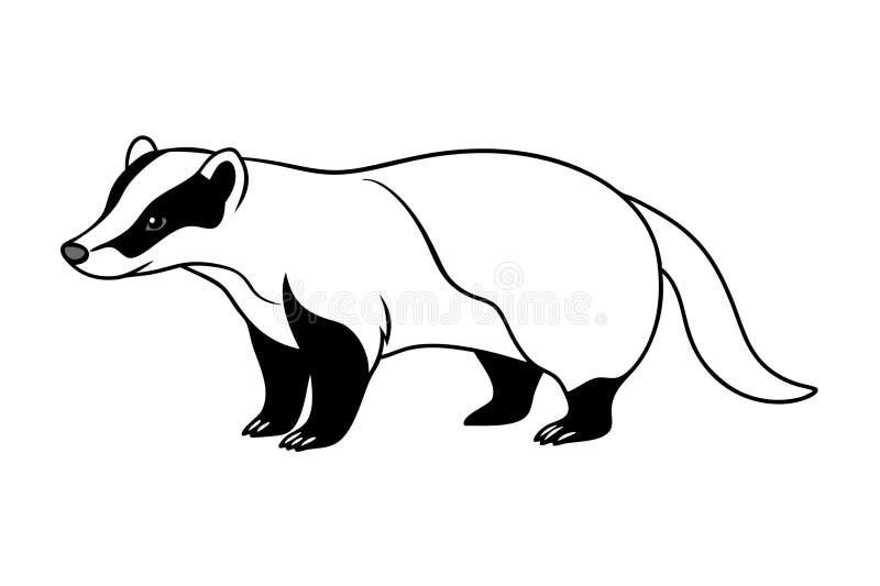Badger Silhouette Vector Illustration Stock Vector - Illustration of ...