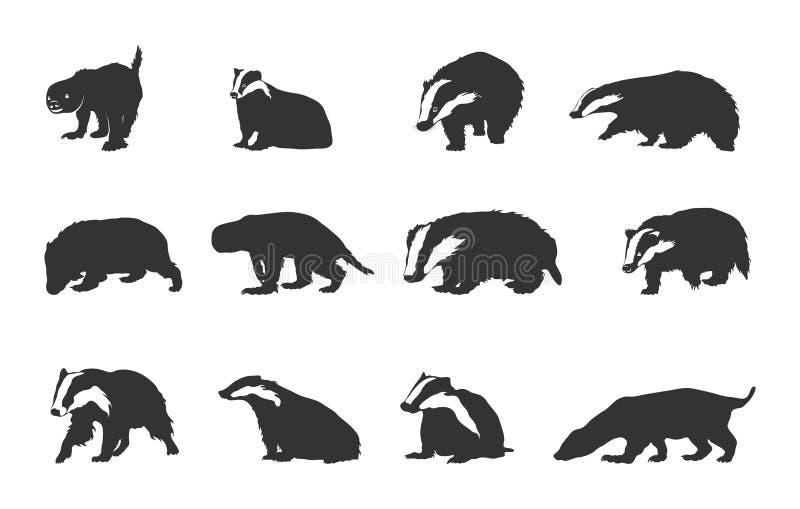 Badger Silhouettes, Badger Clipart Silhouette, Badger Vector Set Stock ...