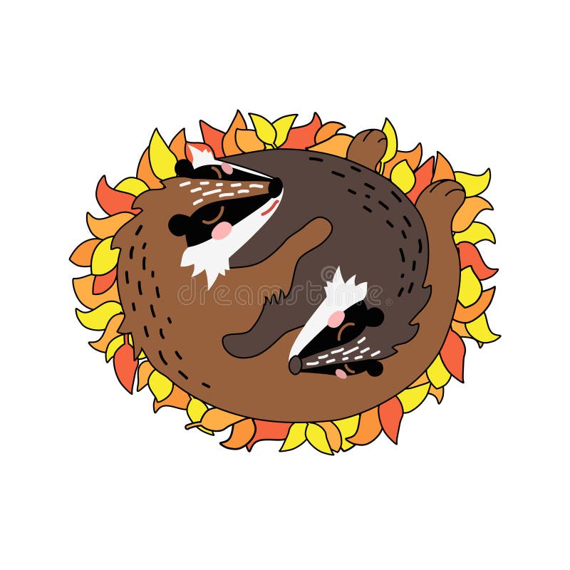 BadgersSleepCute stock vector. Illustration of friendship - 143924059