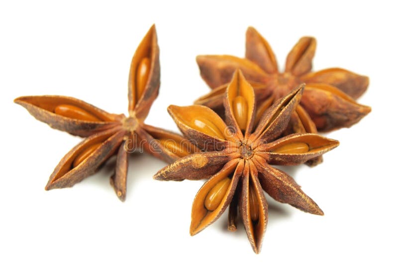 Badian stock photo. Image of isolated, dinner, recipe - 12034012