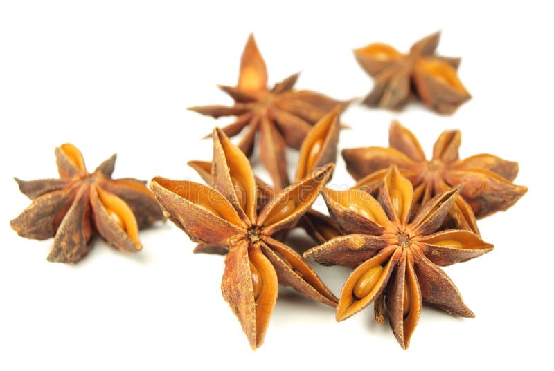 Badian stock photo. Image of dinner, recipe, macro, good - 12060664