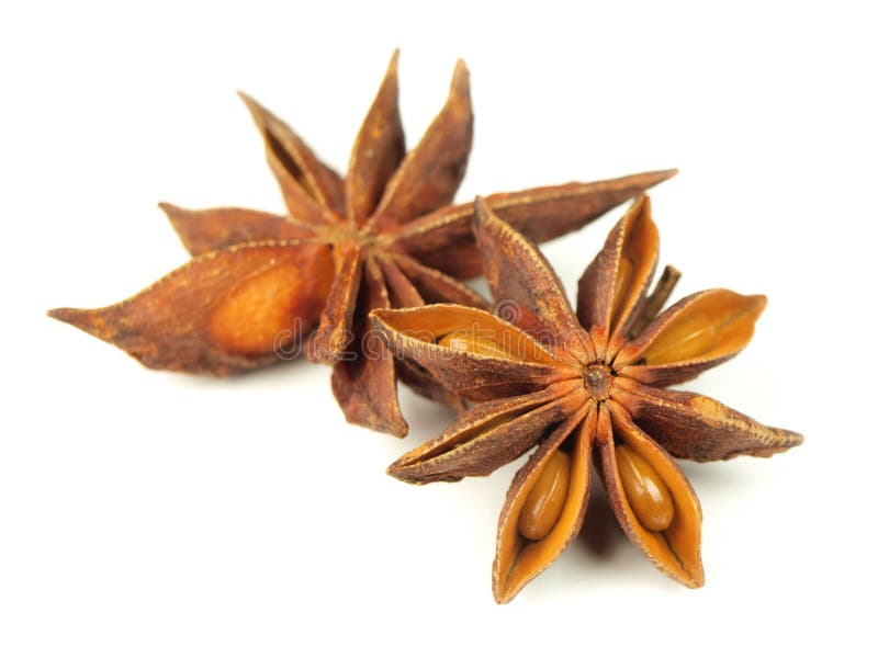 Badian imagen de archivo. Imagen de germen, crudo, aislado - 12091051