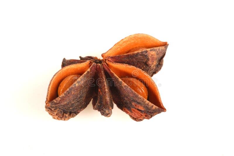 Badian stock photo. Image of bake, aroma, baking, detail - 7269546