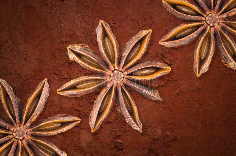 Badian stock photo. Image of badiane, staranise, condiment - 94393232