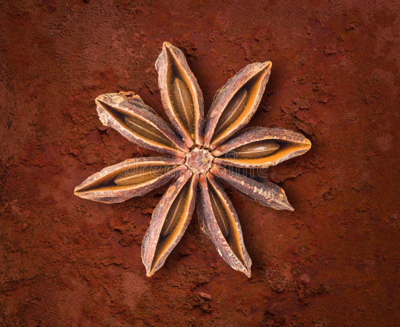 Badian stock photo. Image of arom, seasoning, badian - 94393388