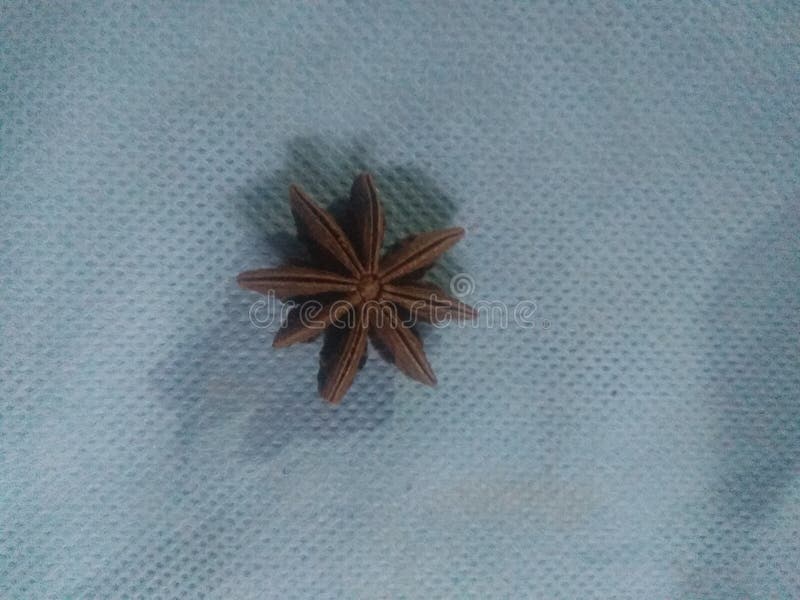 Badiyan Phool Star Phool Back Side Position Stock Photo - Image of ...