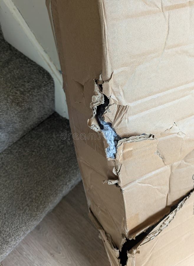 Parecl Stock Photos - Free & Royalty-Free Stock Photos from Dreamstime