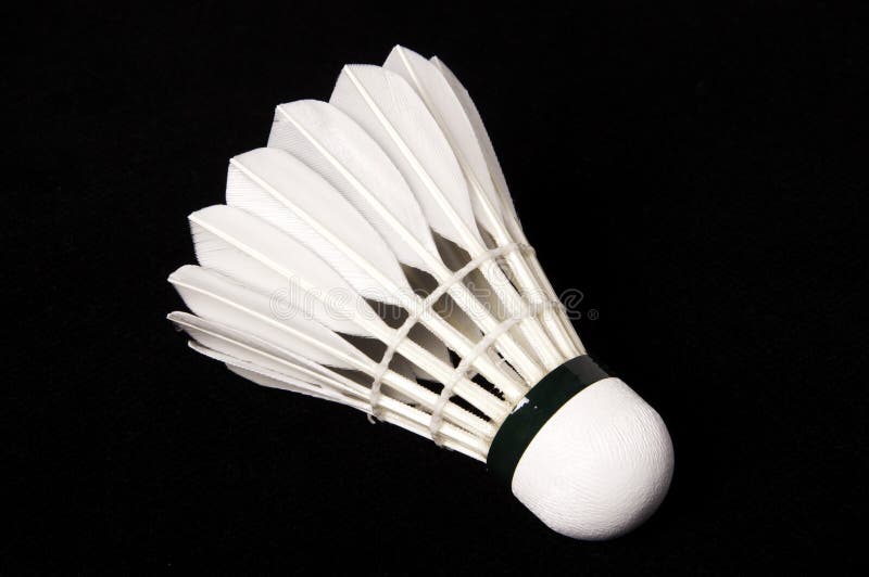 7,889 Badminton Doge Ball Stock Photos - Free & Royalty-Free Stock ...