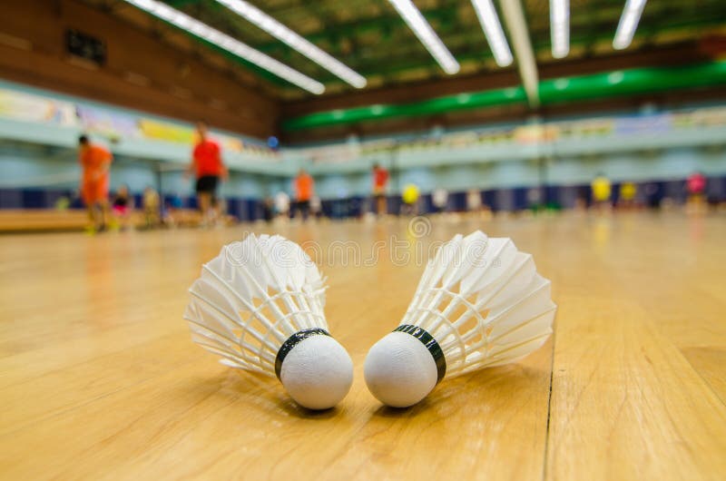 Badminton Fight stock photo. Image of action, string - 16014664