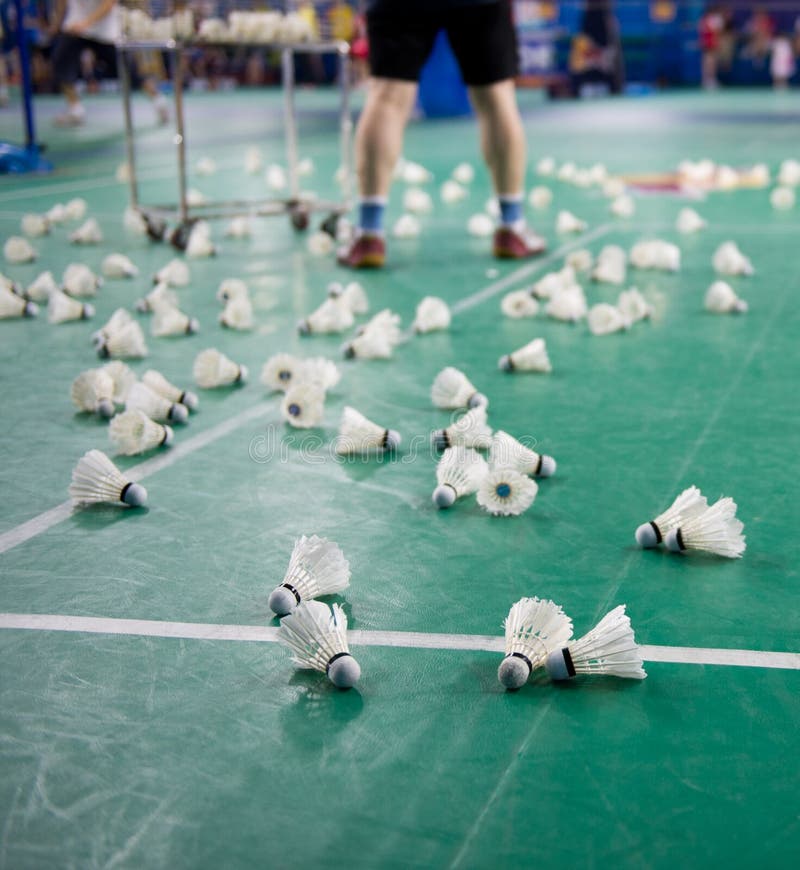 Badminton courts stock image. Image of color, field, entertainment ...