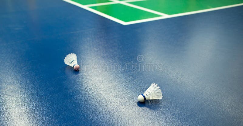 Badminton Courts With Shuttlecocks Stock Image - Image of isolated ...