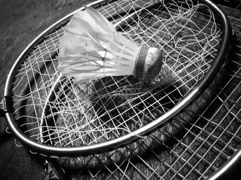 Badminton Racket Photo Black and White Stock Photo - Image of white ...