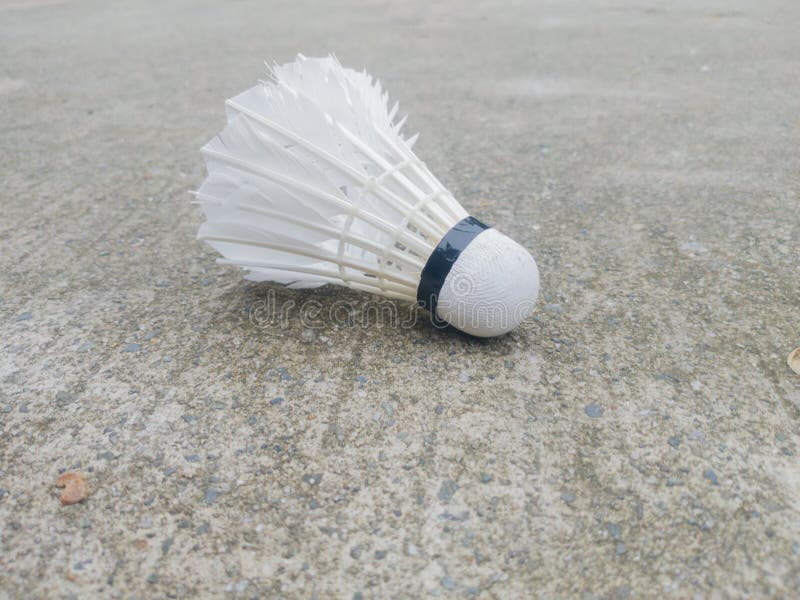 Badminton Racket and Shuttlecock, Playing Badminton in an Open Field ...
